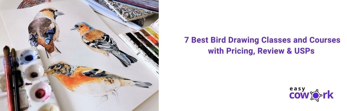 7 Best Bird Drawing Classes and Courses with Pricing, Review & USPs