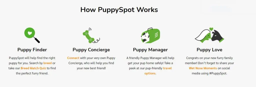 PuppySpot Reviews, Features, Pros, Cons & How to Earn Money [2021]