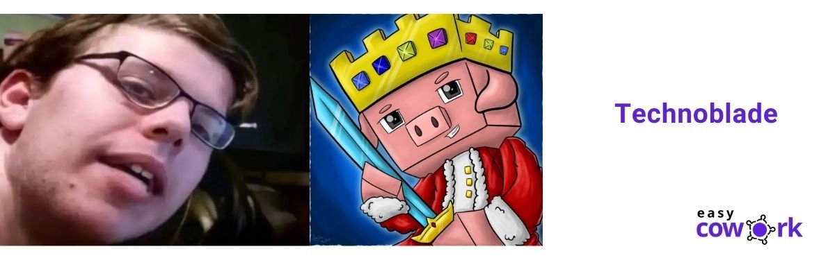 Technoblade Net Worth, Career, How Technoblade has $4-$7 million