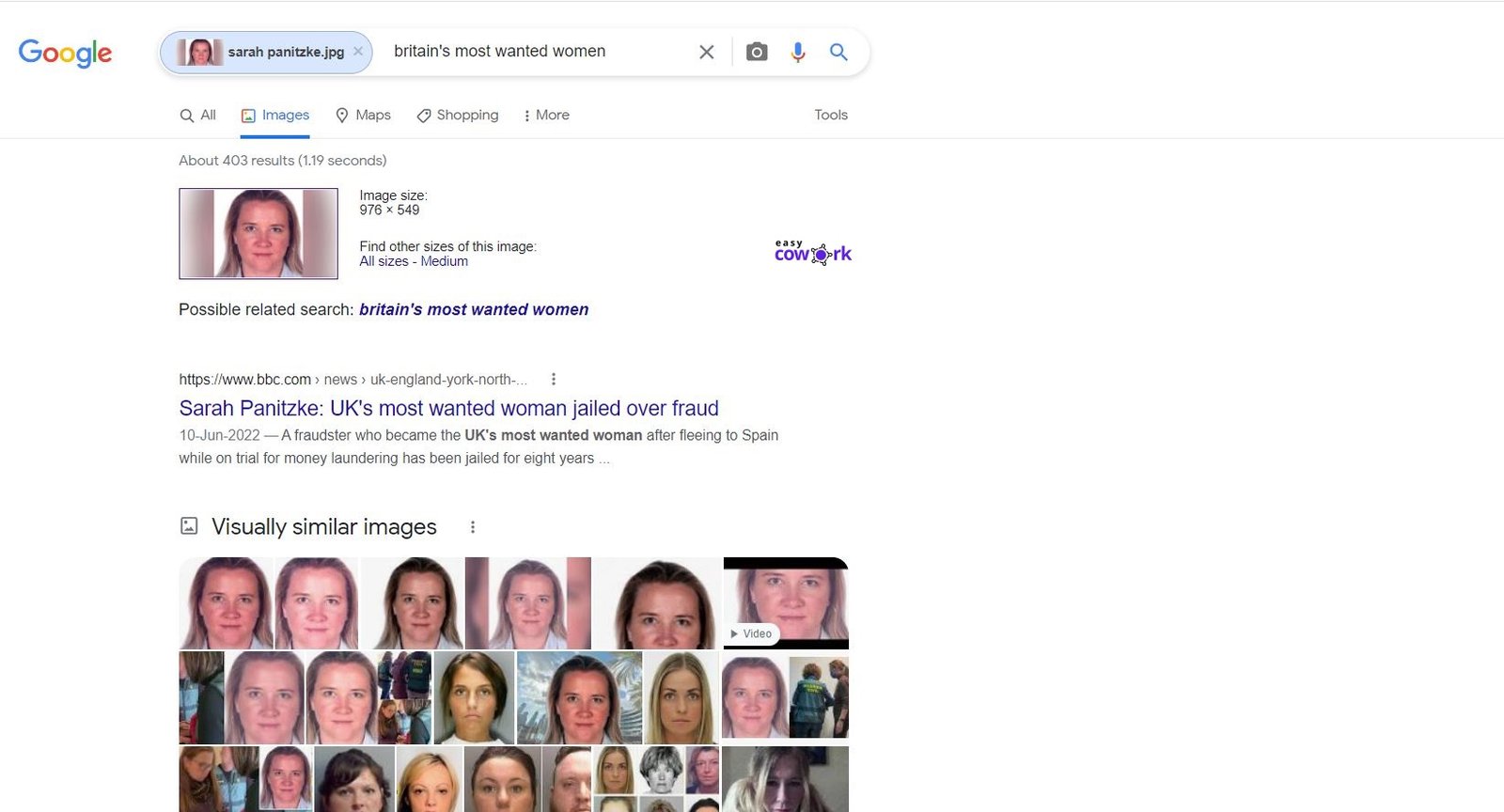 Female Scammer Pictures Search [5 Free & Easy Tools]