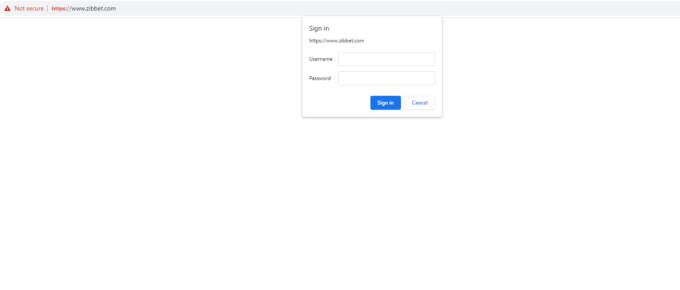 Zibbet Marketplace: What Happened to Zibbet
