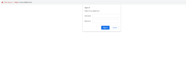 Zibbet Marketplace: What Happened to Zibbet